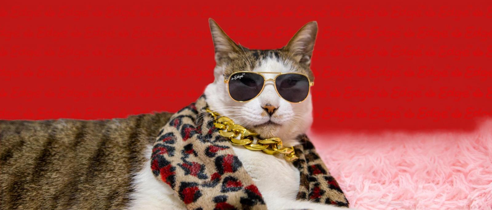 Santander Edge Up current account | Santander UK